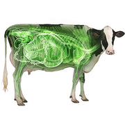 Dairy Distinction – MicroBasics Store